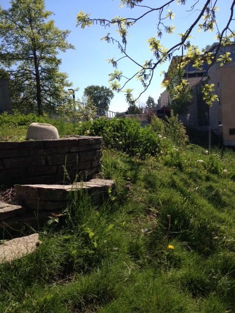 Taizé Around Campus – Sing a New Song